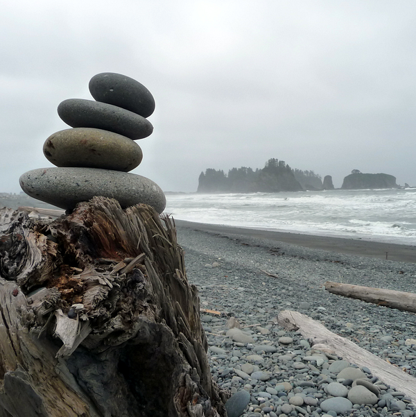 DGL e.V.: Startseite