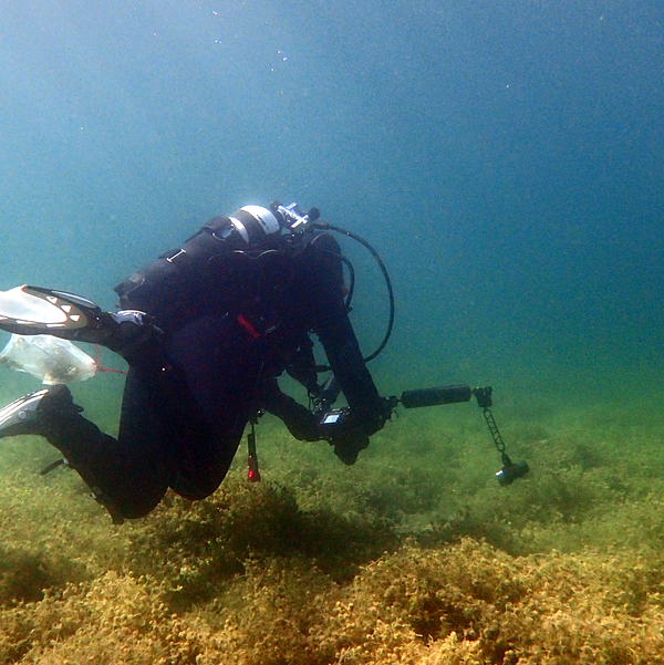 DGL e.V.: Tauchen in der Limnologie